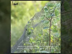 China 1m - 500m Vineyard Bird Netting Anti UV Bird Netting For Tomato Plants for sale