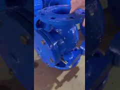 Counter Weight Swing Check Valve PN10-PN16 Cast Iron For Water Distribution Systems