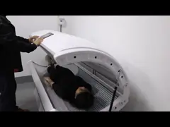 China 2025 Lying Down Home Tanning Bed Booth Taning Machine Solarium Sunbed For Skin Tanning UV Tanning Machine Whole Sale Commercial Sunless Sunbed Standing Solarium for Tanning Salon Beauty Equipment. for sale