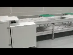 High-Speed Double Speed Chain Assembly Line for Automotive Manufacturing for CARST