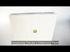 China Cleanroom Rock Wool  Panels for Electronics Industry and Pharmaceutical Easy to Assemble and Durable Anti-static and Fire-proof for sale