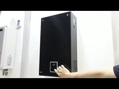 10L 2.6GPM Water Heater Black Coating Panel LPG NG Gas Type