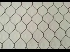 China Green Aviary Wire Mesh 30*30mm Stainless Steel Aviary Mesh 2.0mm Wire Diameter for sale
