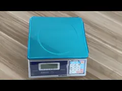 Digital Weighing Scale