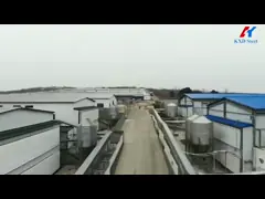 China Poultry Equipment Chicken Layer Cages A Type H Type Layer Cage Automatic for sale