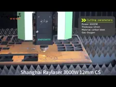 Macchina di taglio laser per lamiere di metallo cnc IPG con testa laser Raytools