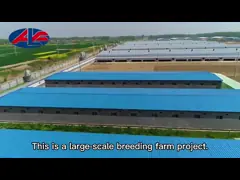 China Hot Dipped Galvanized Steel Structure Warehouse with Strong Structural Design for sale