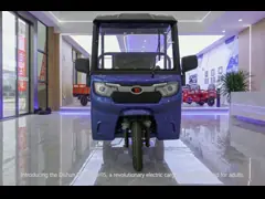 China New  for adults cargo electric tricycles passenger use  vehicle for sale