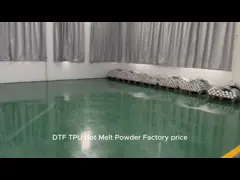 DTF powder