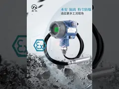 CYW13CY Universal Submersible Level Transmitter 4-20mA HART RS485 OEM Pressure Transmitter