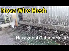 Cina Griglia galvanizzata esagonale da 4 mm per il controllo dell'erosione in vendita