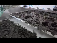 Dried Seaweed Sheet Sorting