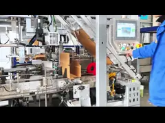Side-push Type Wrap Around Carton Packer For Tetra Pak 1L Dairy Product Packaging Line