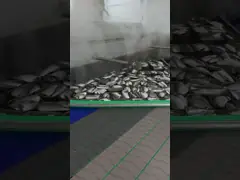 China Automatic Canned Fish Production Line 4000CPH 8000 CPH 12000CPH for Sardines for sale