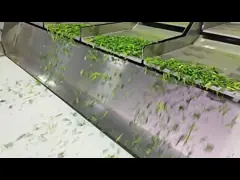 China KM-1250 Coriander Sorting Machine, High Precision Equipped With 3 Ultra High Definition Resolution Cameras for sale