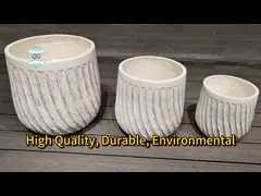 7-8 Years Indoor Life time Fiberclay Planter for Indoor Hotel Garden Home