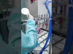 SS 304 φυτική γραμμή παραγωγής 250 T/D κέτσαπ ντοματών γραμμών επεξεργασίας εξουσιοδότηση ενός έτους