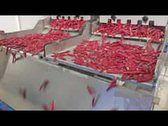 China Chili Pepper Sorter, AI Sorting Machine That Integrates Recognition, Sorting, And Statistics for sale