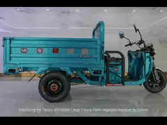 Electric 60v 1200w Cargo Tricycle Farm Vegetable Transport