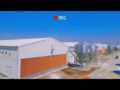 China Durable Steel Poultry House Automatic Feeding System Feeding Pan Poultry Equipment for sale