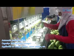 China 2.8kw Intelligent Papaya Peeling Machine For Fruits And Vegetables Processing Lines Adjustable Peeling Thickness for sale