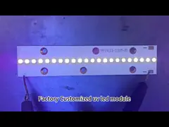 China Linear Light Source Curing 60W UV LED Module , High Power LED Module 365nm for sale