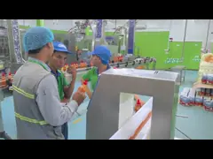 China Fish Meat And Vegetable Processing Industrial Metal Detector Prepared Dishes Metal Detector for sale