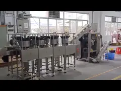 중국 고성능 계산 및 다 곡물 뒷 밀봉 포장 기계 판매용