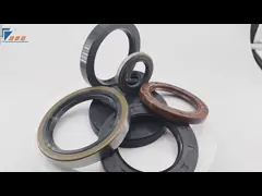 China Different Types NBR Mechanical Seals TC SC SB Type O Ring Sealer for sale