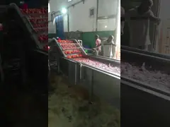 Condensed tomato paste making production line