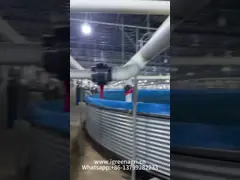 China Industrial Indoor Recirculating Aquaculture System 7kg/M³ Shrimp Density 30% Faster Growth for sale