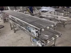 Stainless Steel Wire Mesh Belt Conveyor