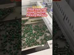 China Automatic High Speed and Accuracy CCD Camera Counter Packing Machine for Oil Seal Package for sale