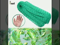 Factory Directly Green Agricultural Anti Bird Net Garden Bird protection Mesh outdoor netting