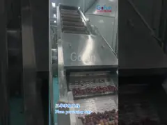 China NFC Peach Juice Processing Line Peach Processing Factory Dedicated Cleaning Peeling And Juicing Processing Machine for sale