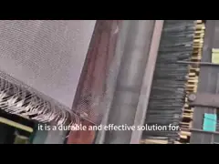 China 1200mm Width Extra Fine Stainless Steel Insect Mesh Roll Plain Weave for sale