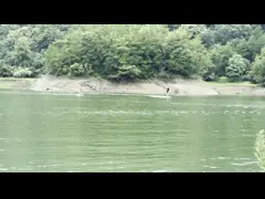 China 80100 High Torque Hall Sensored Highly Customized Brushless DC Motor For Power Tool for sale