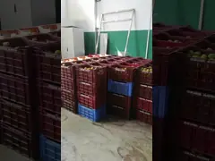 Fruit Vegetable Juice Making Production line