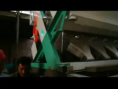 China Wenyao Automatic CCD Camera Color Separation Machine Good Quality Broad Bean Color Sorter for sale