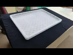 Food Grade PE Freezing Tray