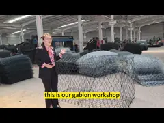 China Pvc Coated Galvanized Gabion Wire Mesh Hexagonal Gabion Basket Wall For Water Conservancy And Eco Projects for sale