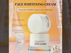 China Foundation Base Make Up Refreshing Makeup Concealer Cream Non Sticky for sale