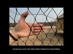 中国 黒色酸化動物園ロープ網 50*50mm 動物園鳥居網 SS304ケーブル網 販売のため