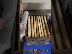 Big Granual Rape pollen  Honey Raw Bee Pollen For Human Beings and Bees