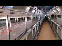 China Easy Install Broiler Chicken Cage Automatic Chicken Feeding System For Poultry for sale