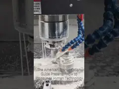 China Metal Color Wenger 165 Screw Elements for Pet Food Puffing Machine Customized Size for sale