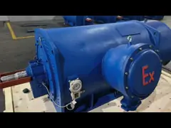 China 1000kw to 12000kw ExdIIBT4 Gb Flameproof Electric Motor 1500rpm VFD Motor​ for sale