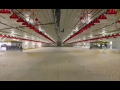 China KXD Automatic Poultry Feeders And Drinkers , Plastic Chicken Pan Feeder for sale