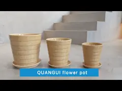 Ceramic Planters