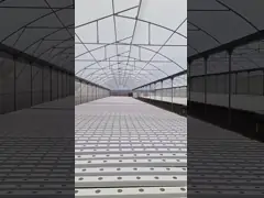 Sawtooth tropical greenhouse with roof vent